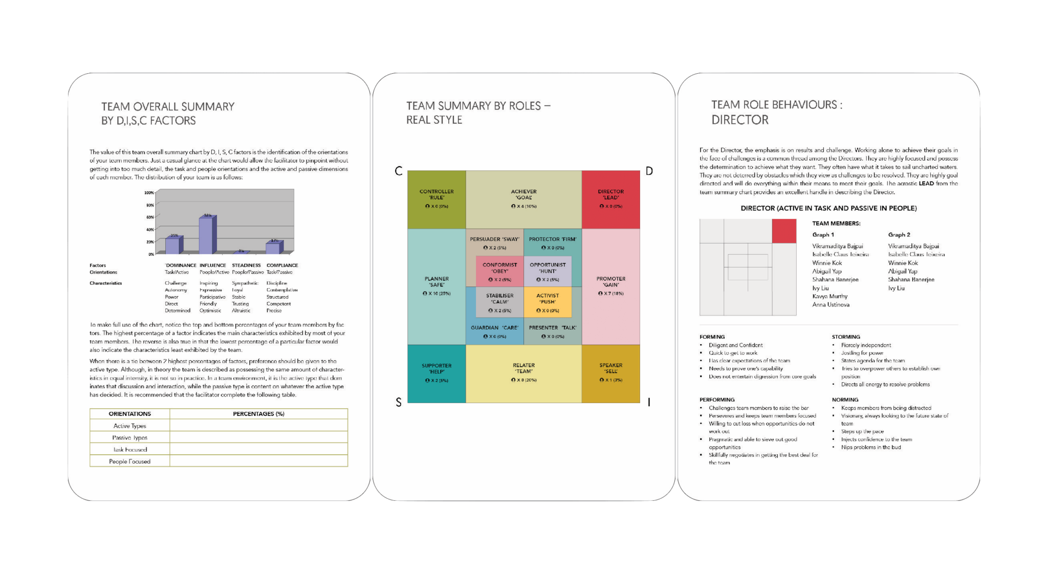 Team Summary Report – DISC Insights